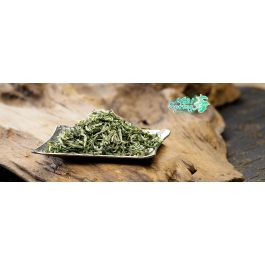 Bi Luo Chun (Pi Lo Chun) Famous Chinese Green Tea