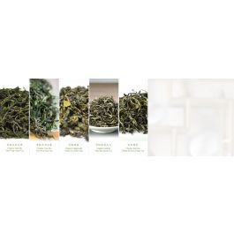Organic Green Teas Assortment Samples B