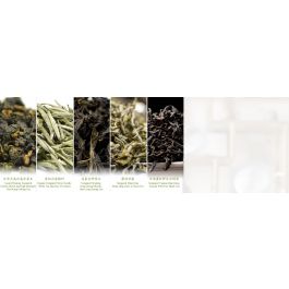 Nonpareil Luxury Teas Assortment Samples