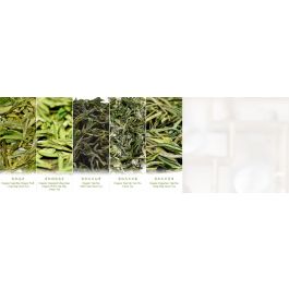 Organic Green Teas Assortment Samples