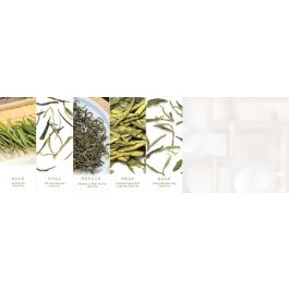 Featured Green Tea Assortment Samples
