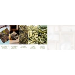 Top Sellers White Teas Assortment Samples