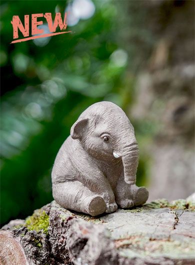 Tea Accessories Online - TeaVivre.com