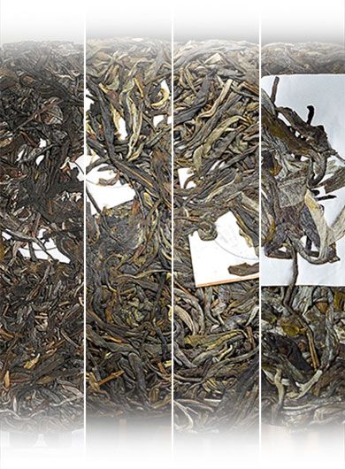 Pu-erh Tea - origin from Yunnan, Online shop for Puerh Tea Lovers ...