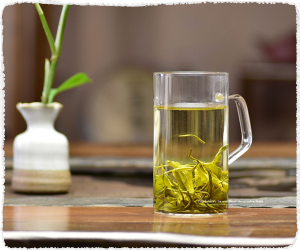 Organic Green Teas Assortment Samples B